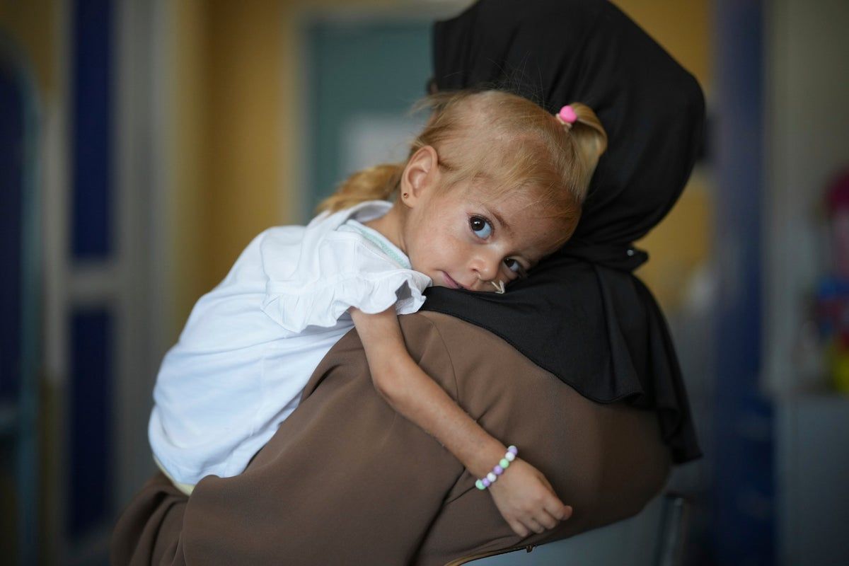 Toddler evacuated from Gaza with rare disease recovers…