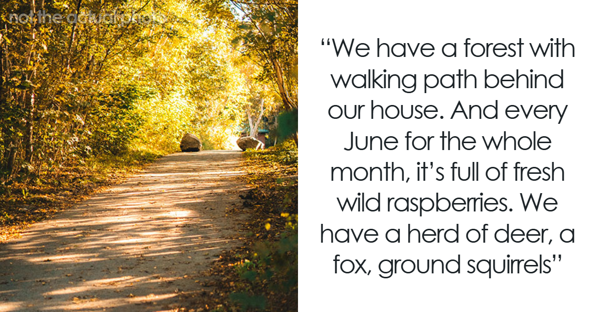 80 Hidden Gems People Discovered After Moving Into…