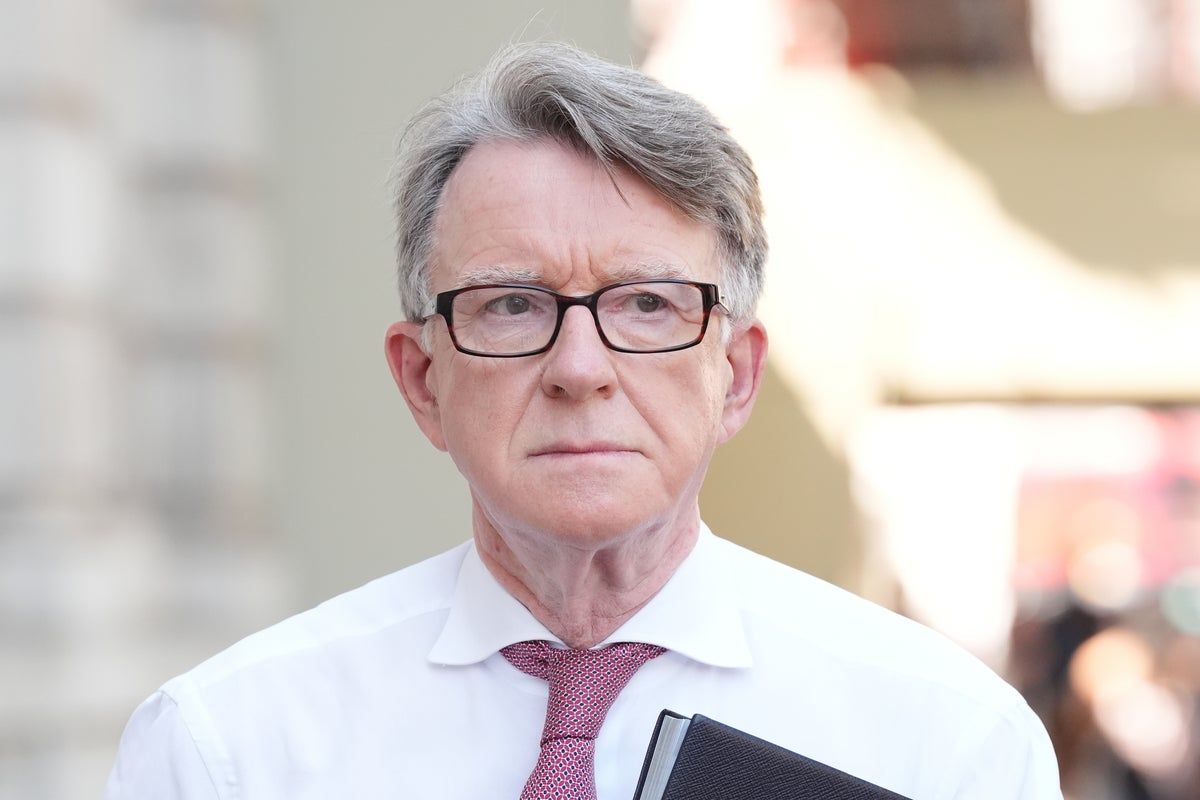 Peter Mandelson asked Jeffrey Epstein for help vetting…