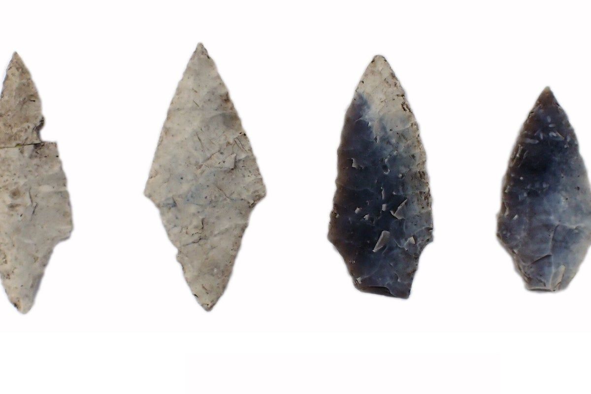 Gender stereotypes challenged by discovery at Stone…