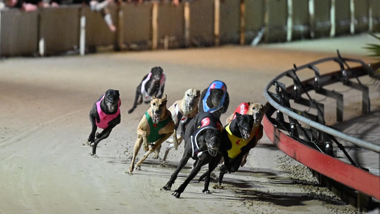 Lights out now the Dapto Dogs have had their day