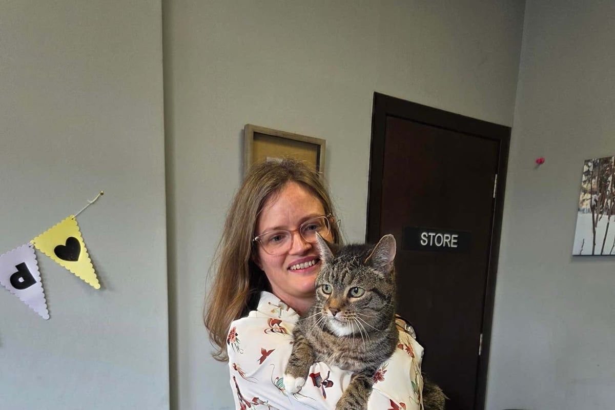 Missing cat reunited with owners after nine years…