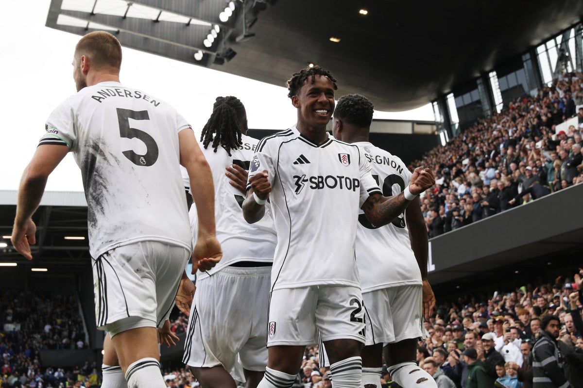 Fulham’s club-record signing impresses in late win…
