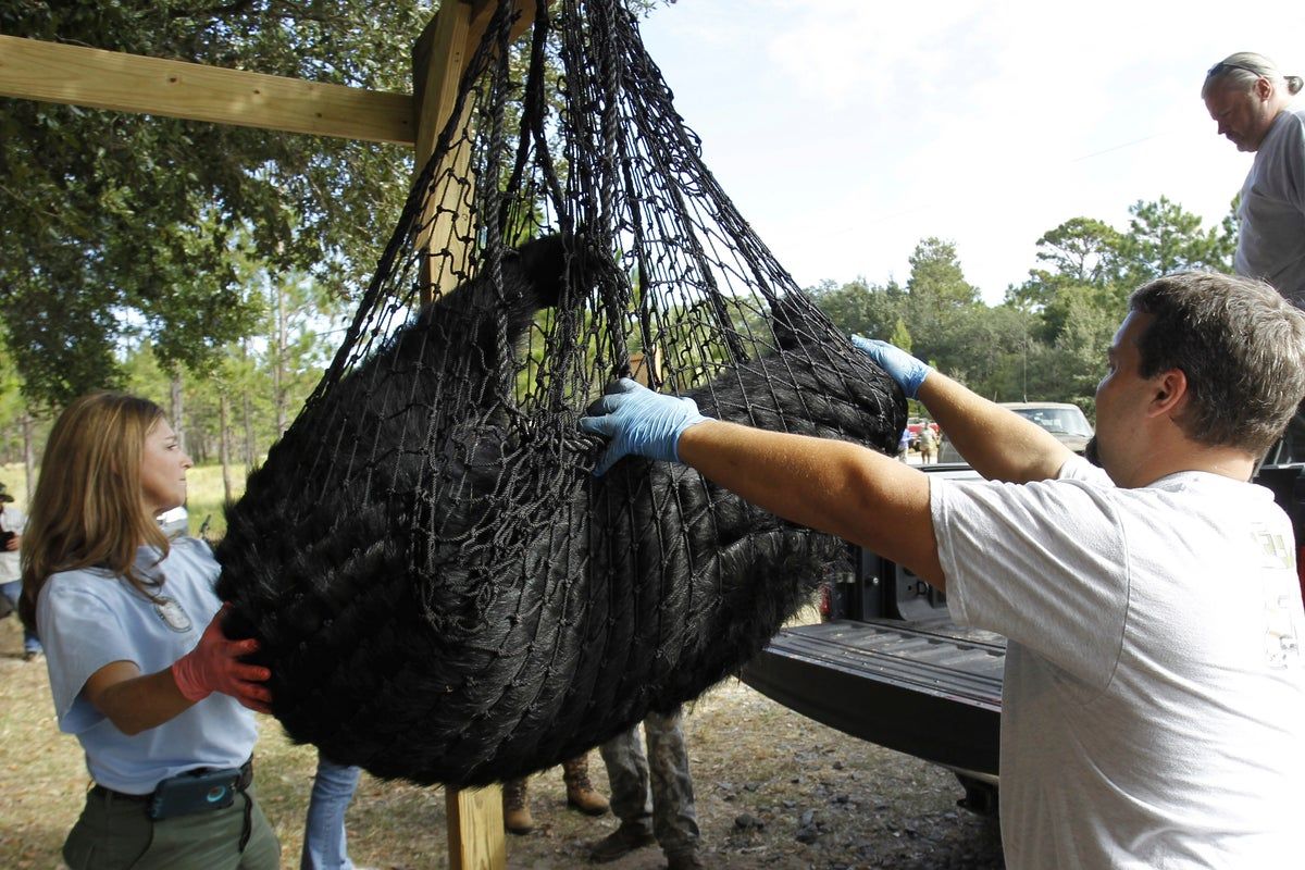 Conservationists sue to stop Florida's first black…