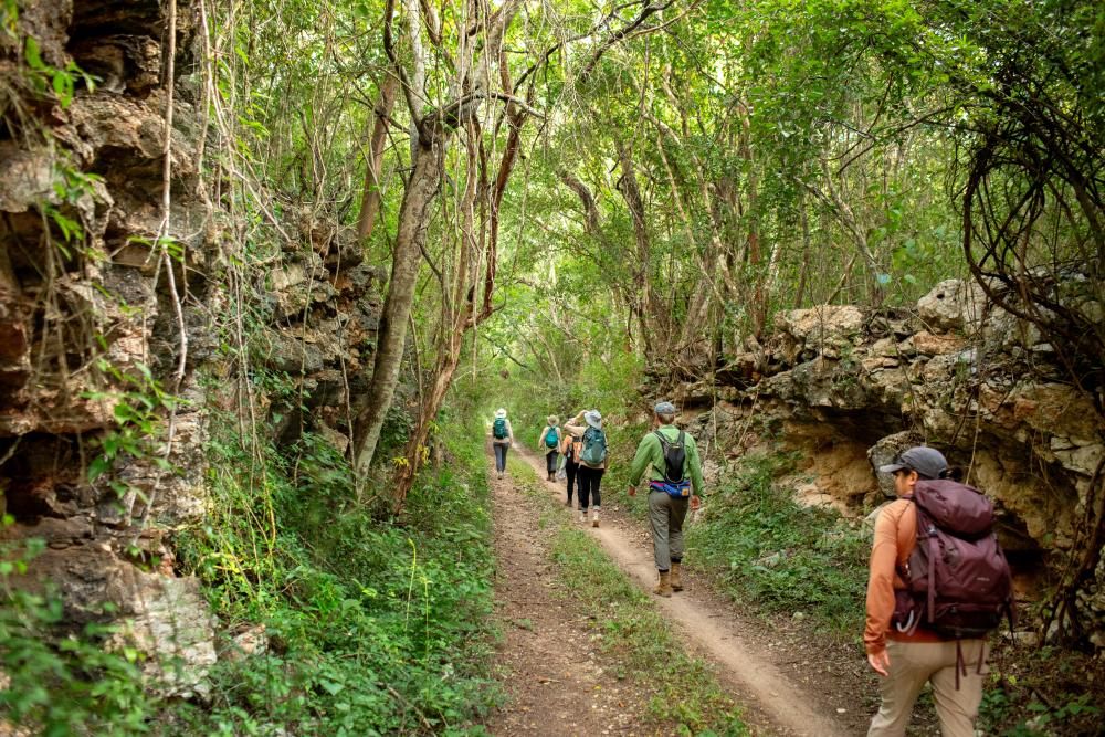 Walking the Mayan camino: a five-day hike in Mexico’s…