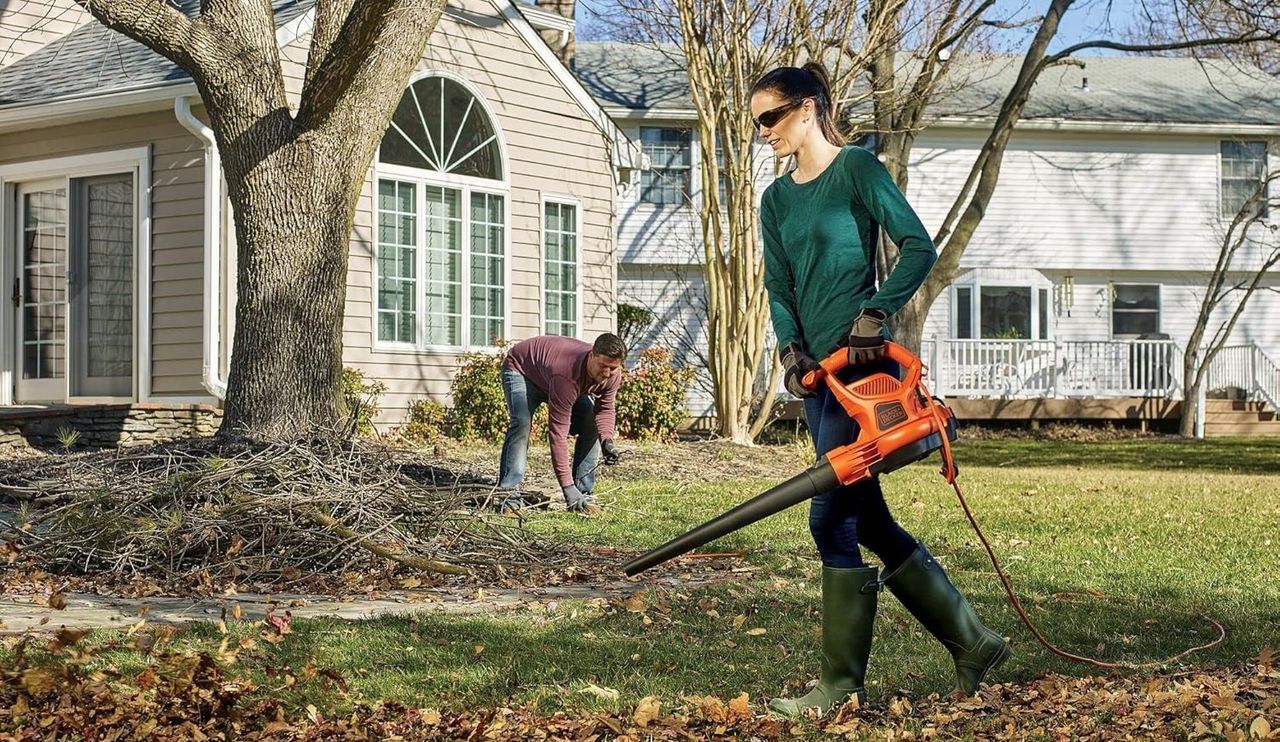 I used four different tools to get rid of leaves in my…