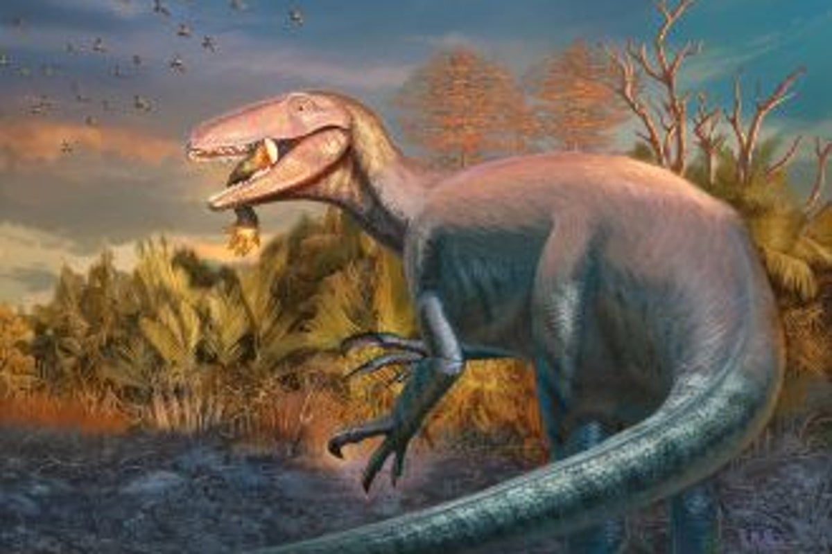 New ‘apex predator’ dinosaur fossil unearthed with…