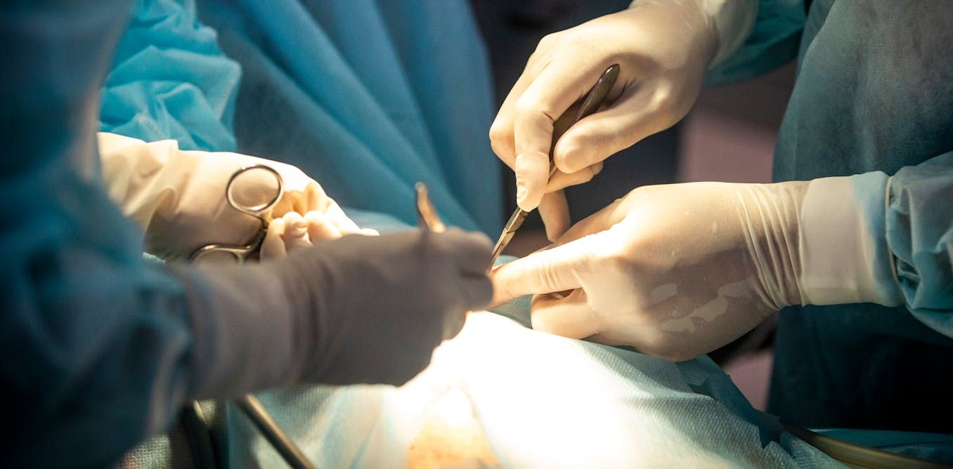 Don’t cut them out: lymph nodes may be key to cancer…