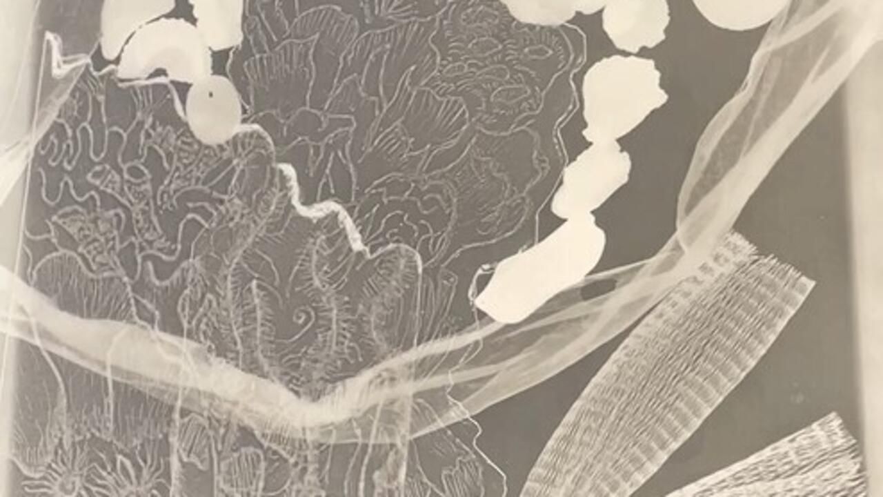 Young artist from Martinique sheds light on the plight…