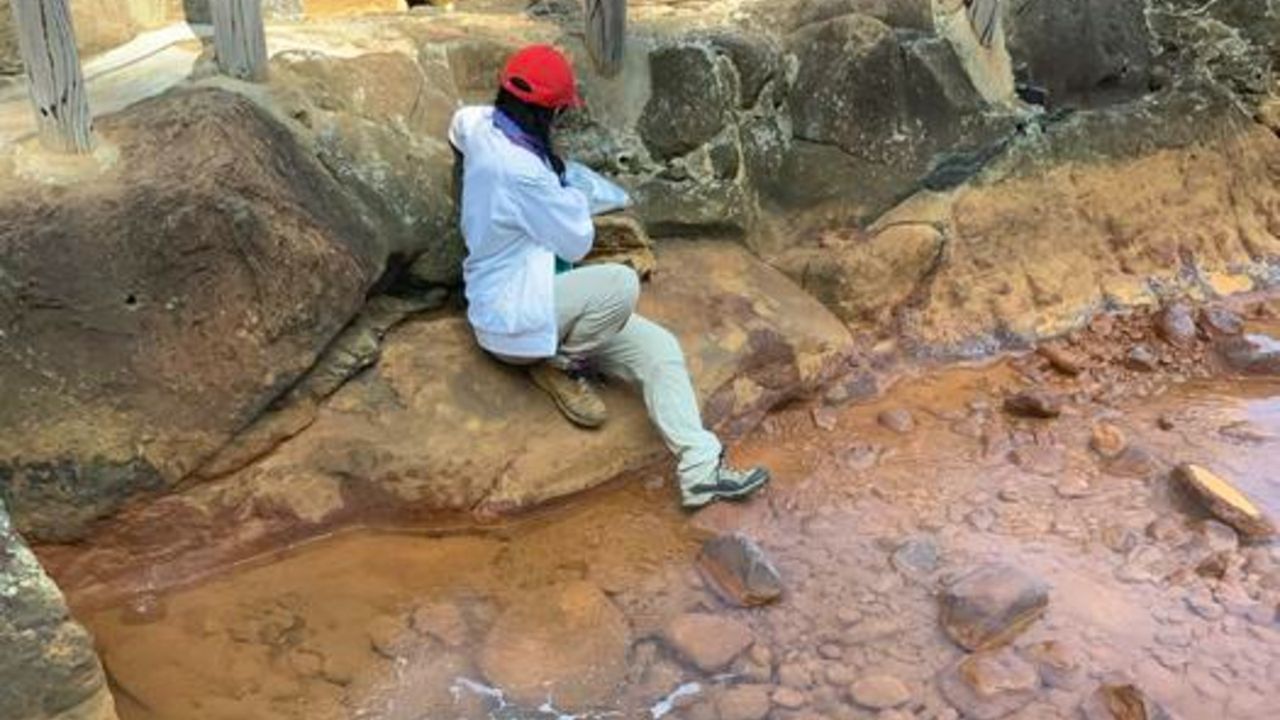 Secrets of ancient life on Earth may live in Japan's…