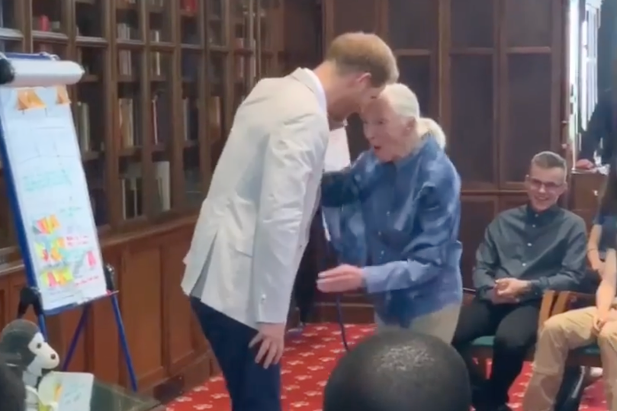 Watch Prince Harry and Jane Goodall share ‘chimpanzee…