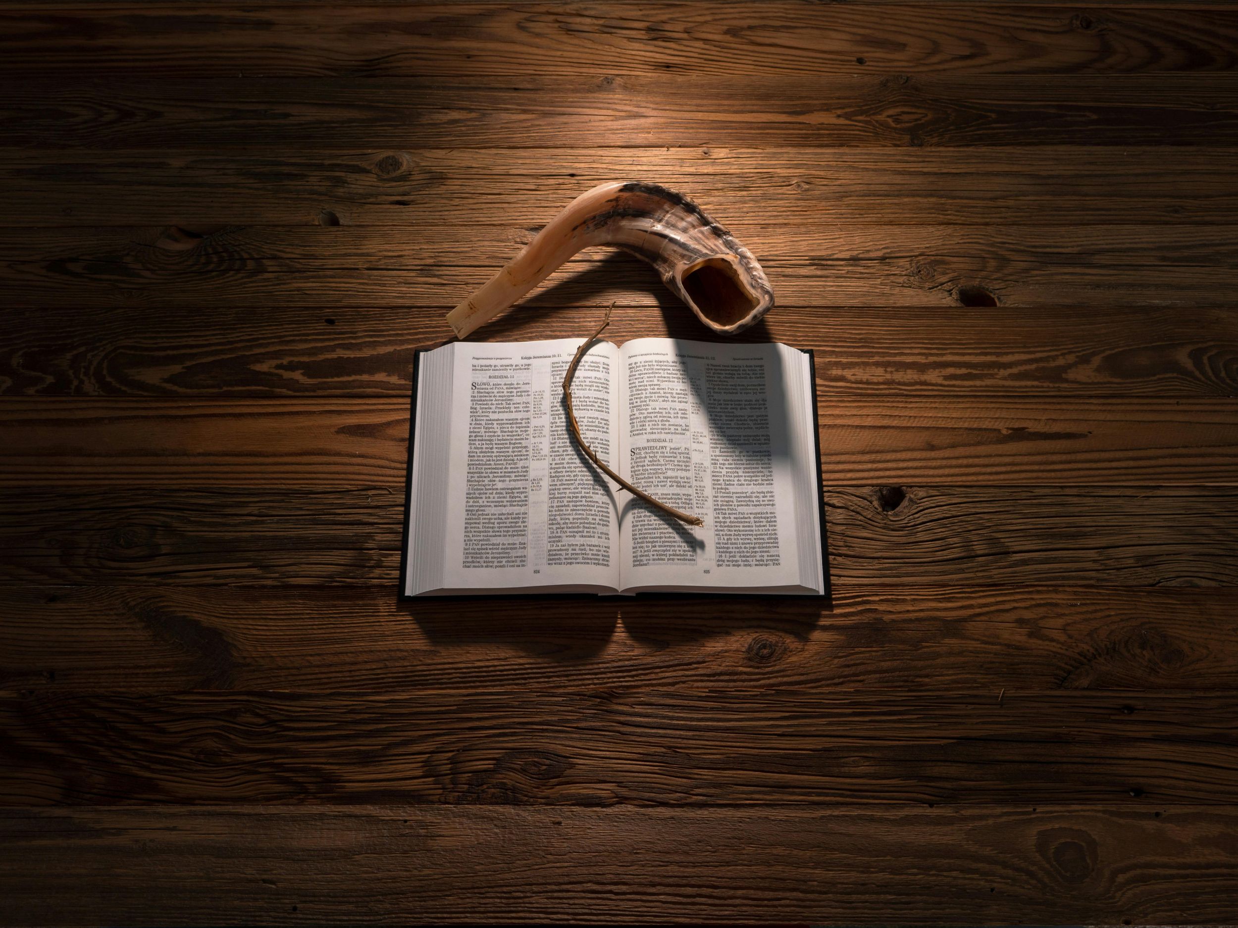 What Is Yom Kippur, The Meaning Behind It, and When It…