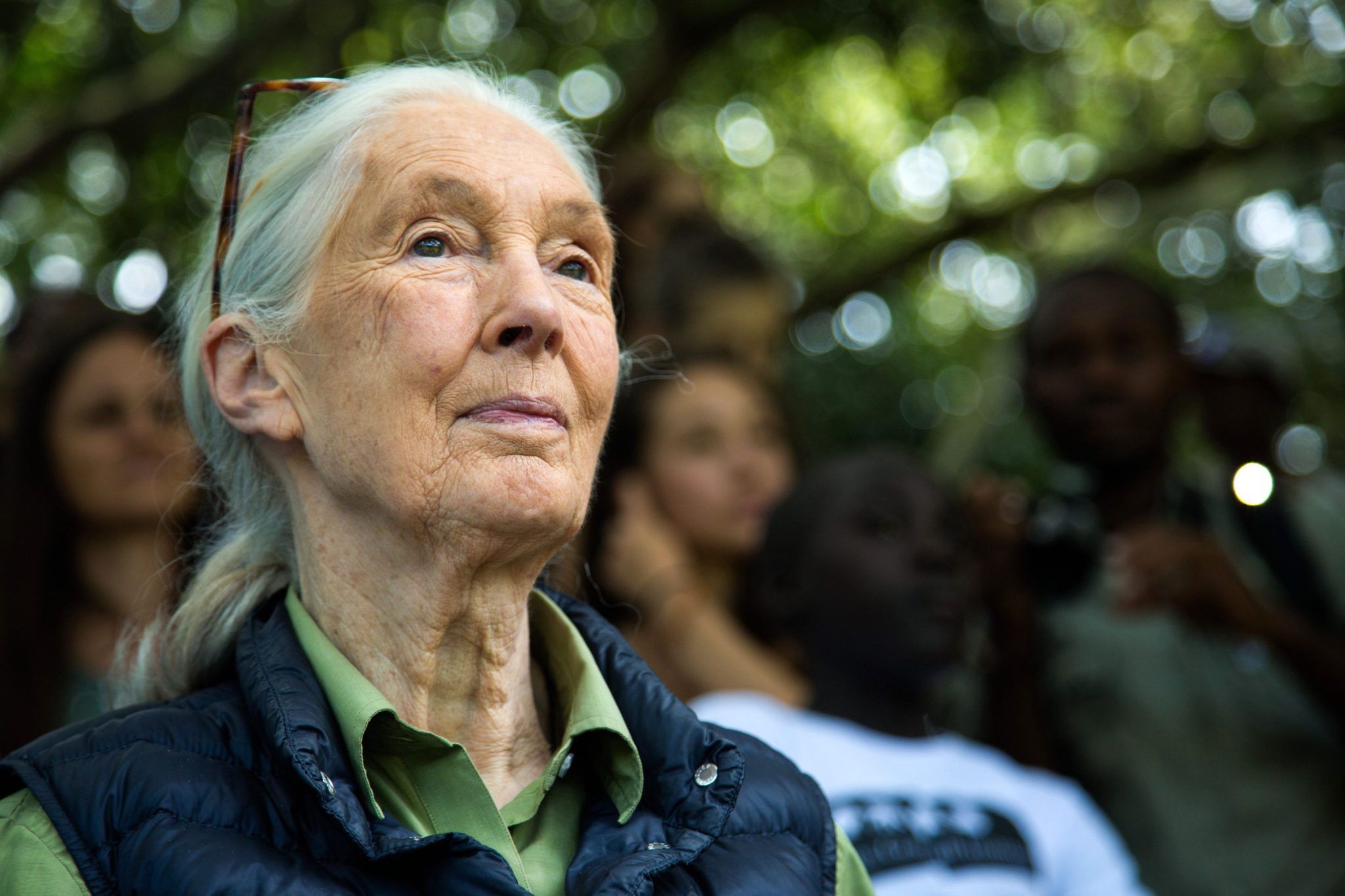 Jane Goodall made a name for herself with no degree,…