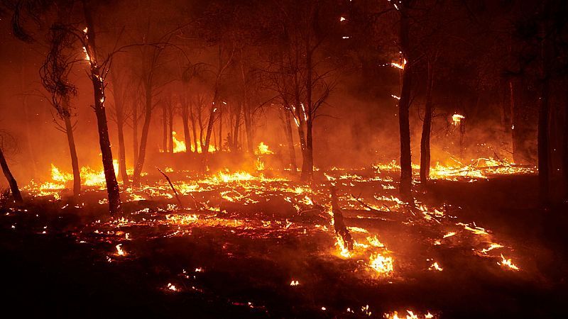 Nearly half of the world’s most destructive wildfires…