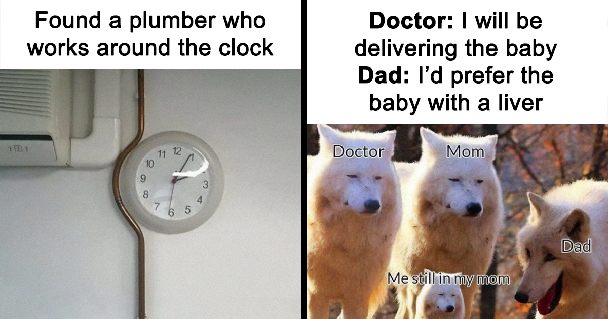 80 Funny Jokes And Puns That Are So Bad, They’re…