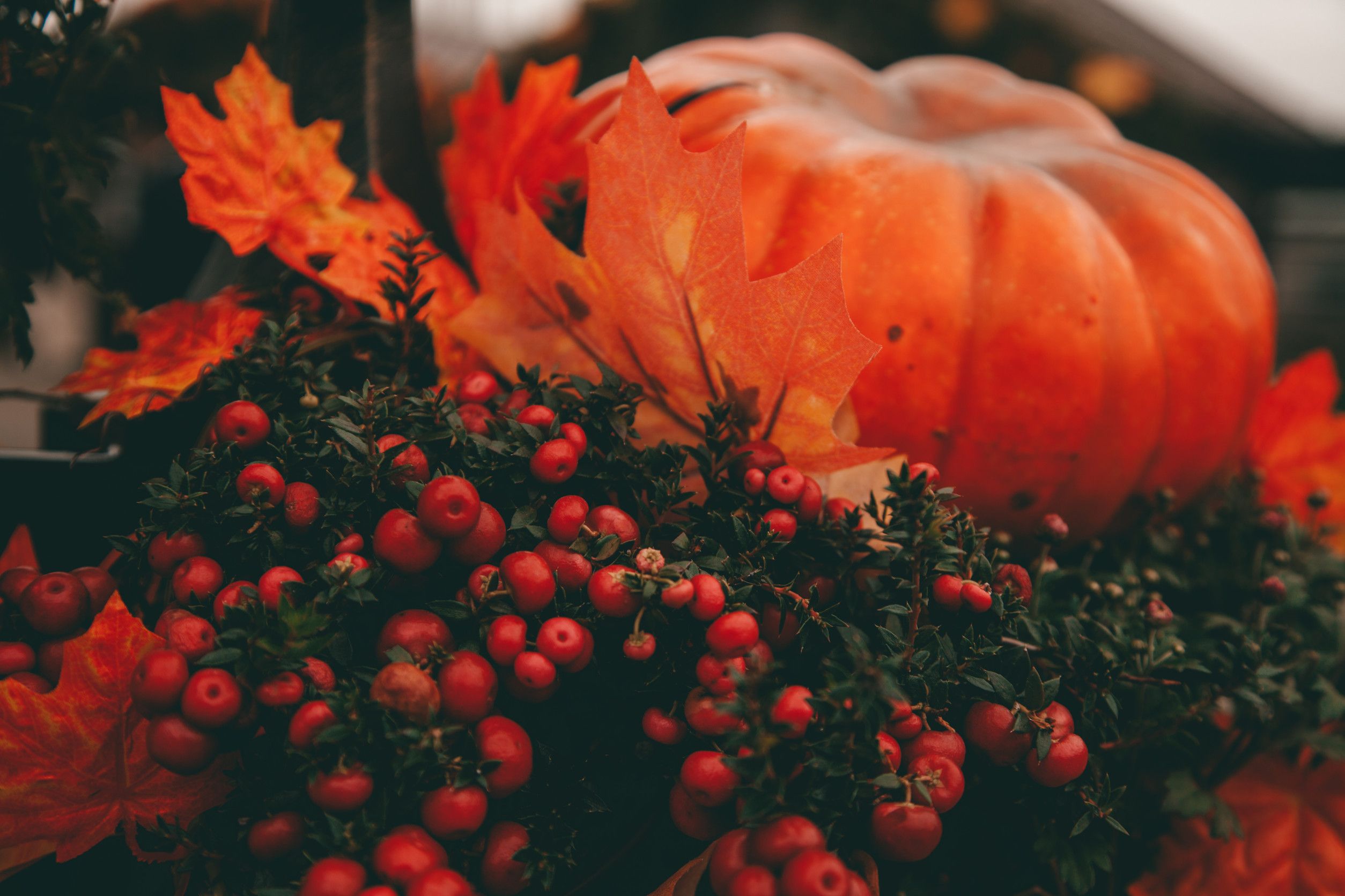 The Science Behind Fall Color Changes in Plants