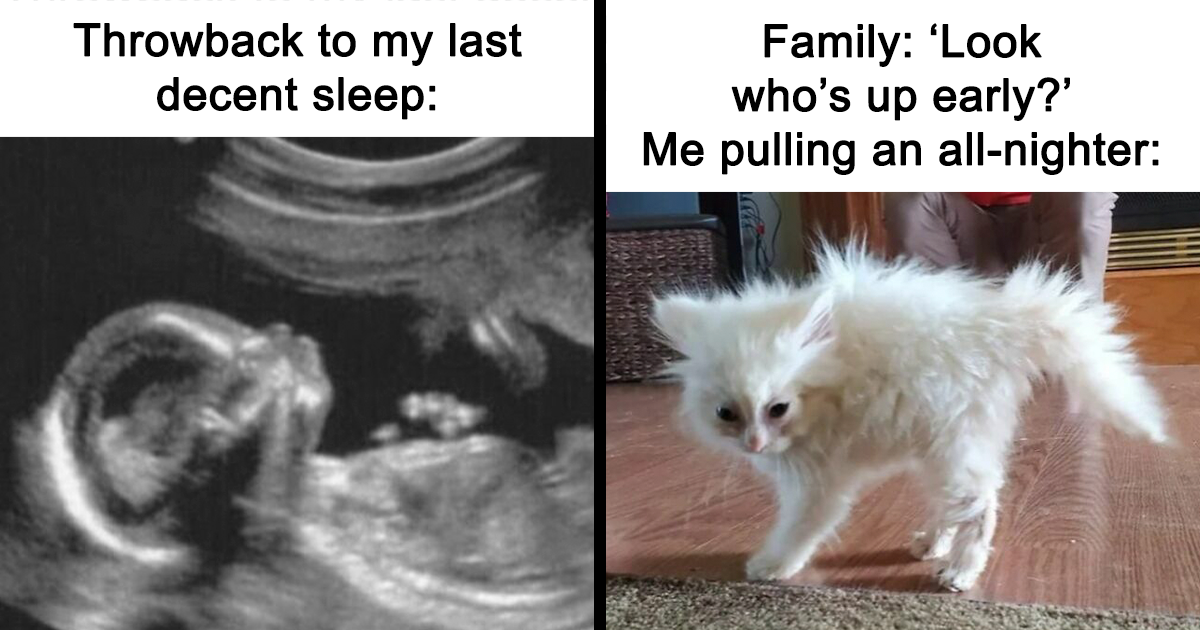 77 Funny Insomnia Memes For When Your Brain Won’t Just…