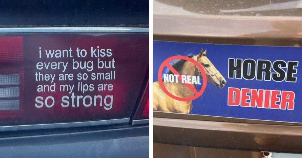 79 Drivers Share The Funniest Bumper Stickers They’ve…