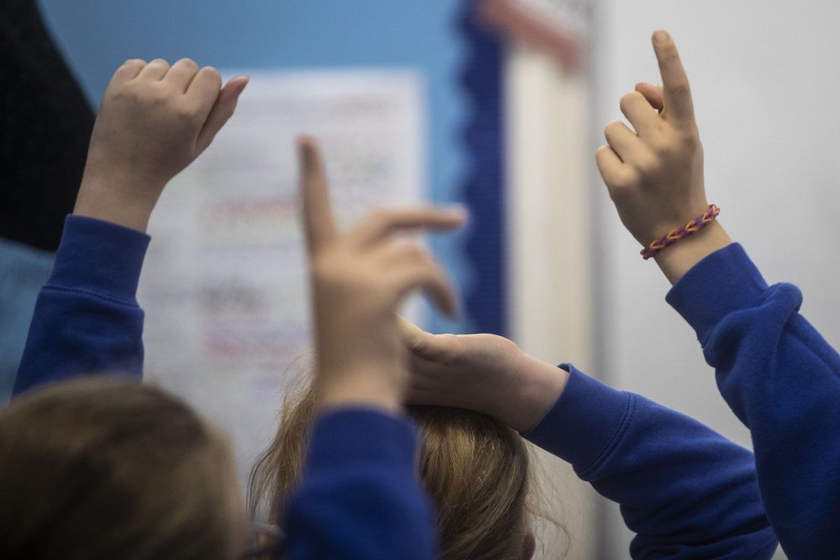 Children with Send from poorer homes facing ‘double…