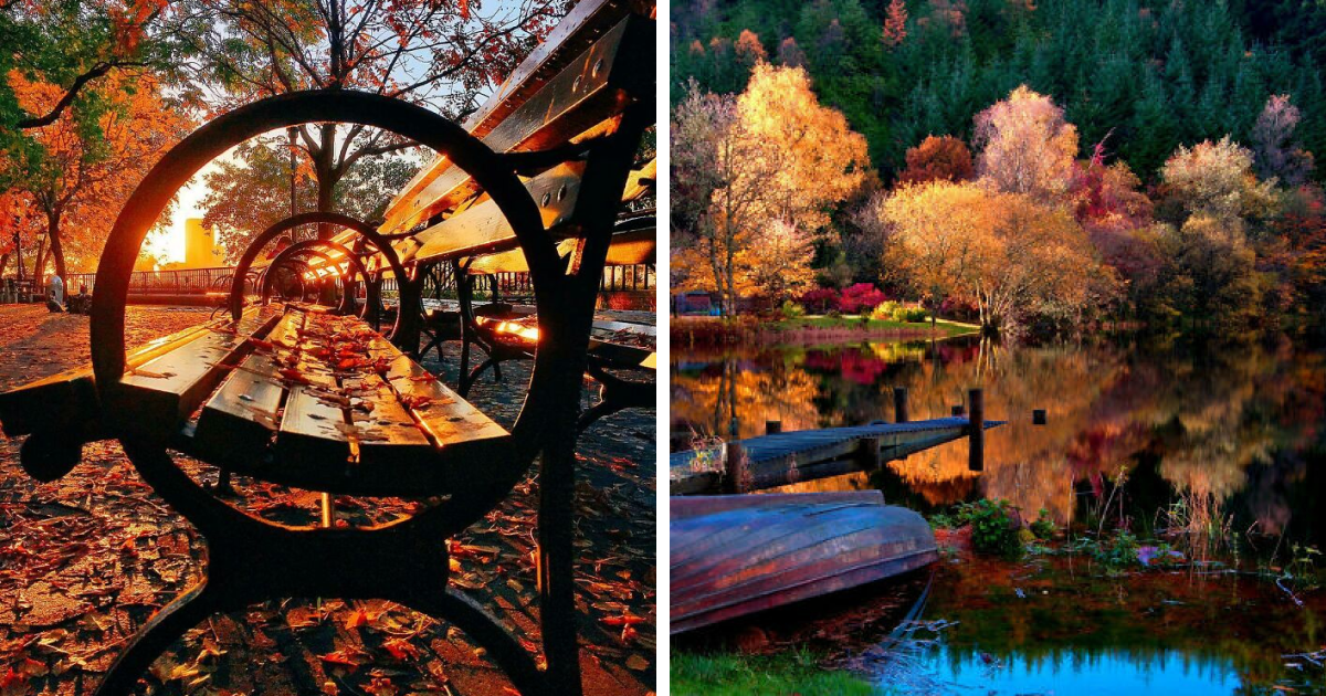 52 Captivating Photos Of Autumn Leaf Colors And Fall…