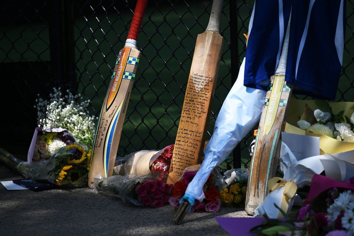 Australian teen cricketer dies after being struck by…