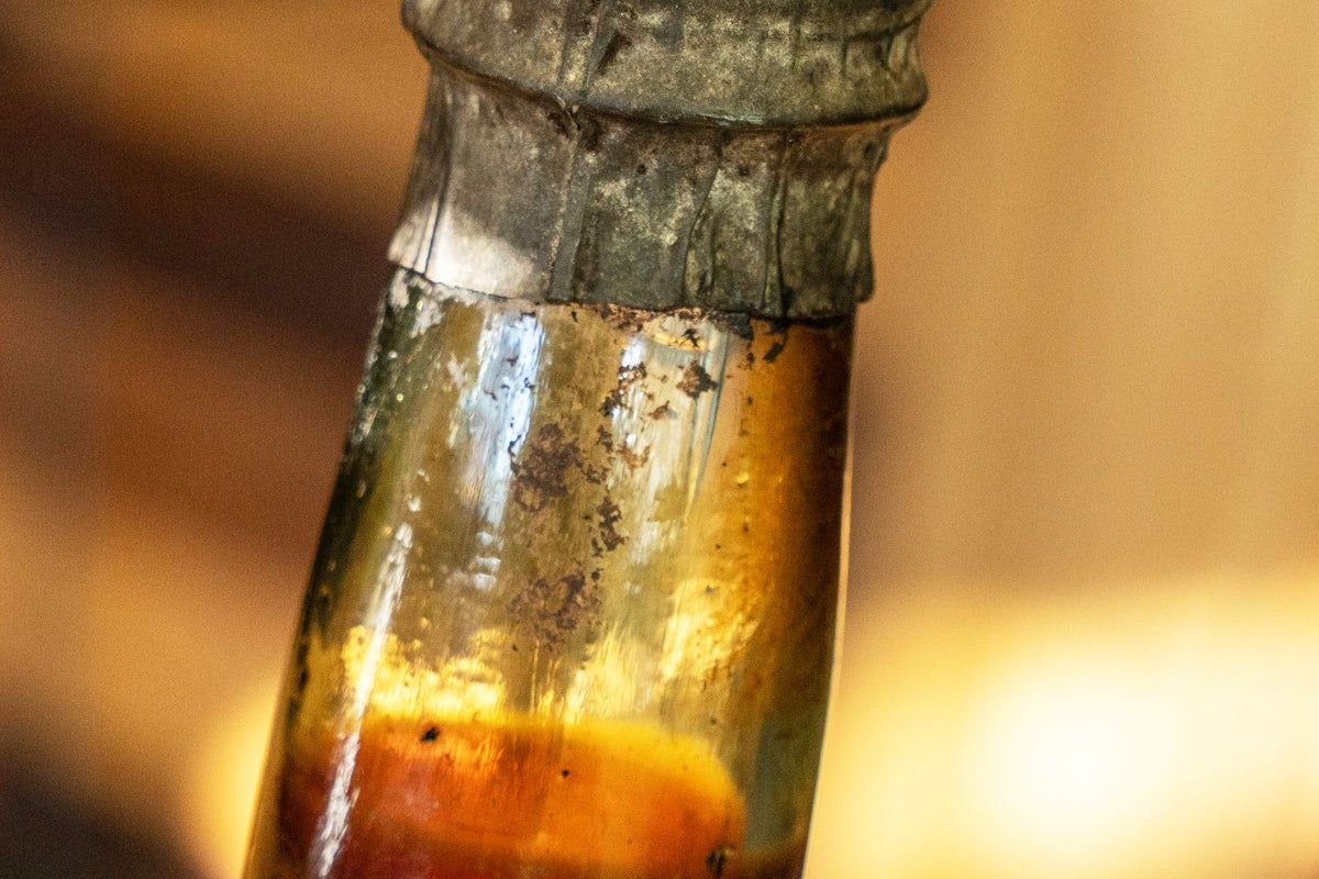 Arctic explorers’ beer to be uncorked after 150 years…