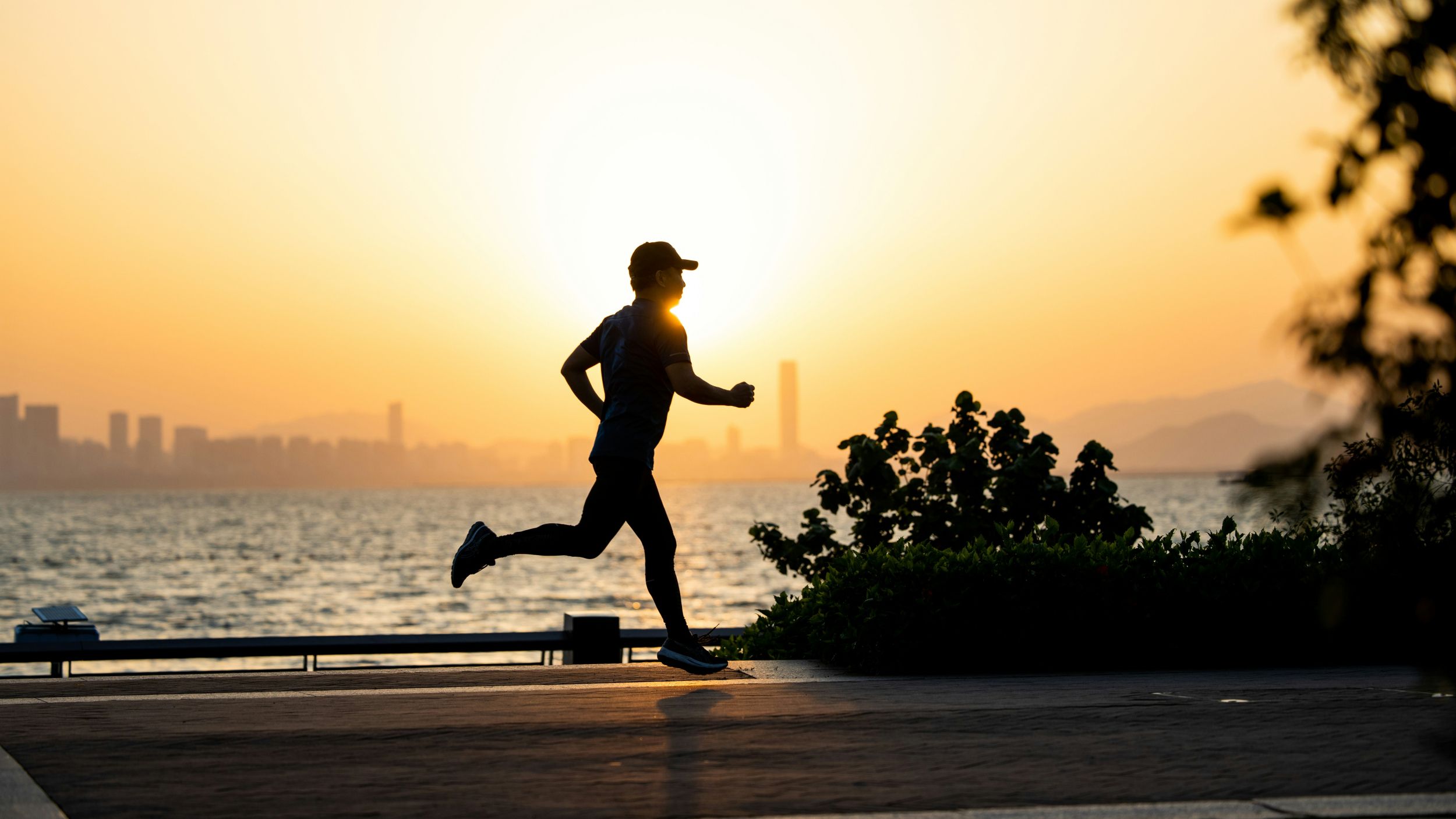 How to Feel More Energetic: 5 Daily Habits That Boost…