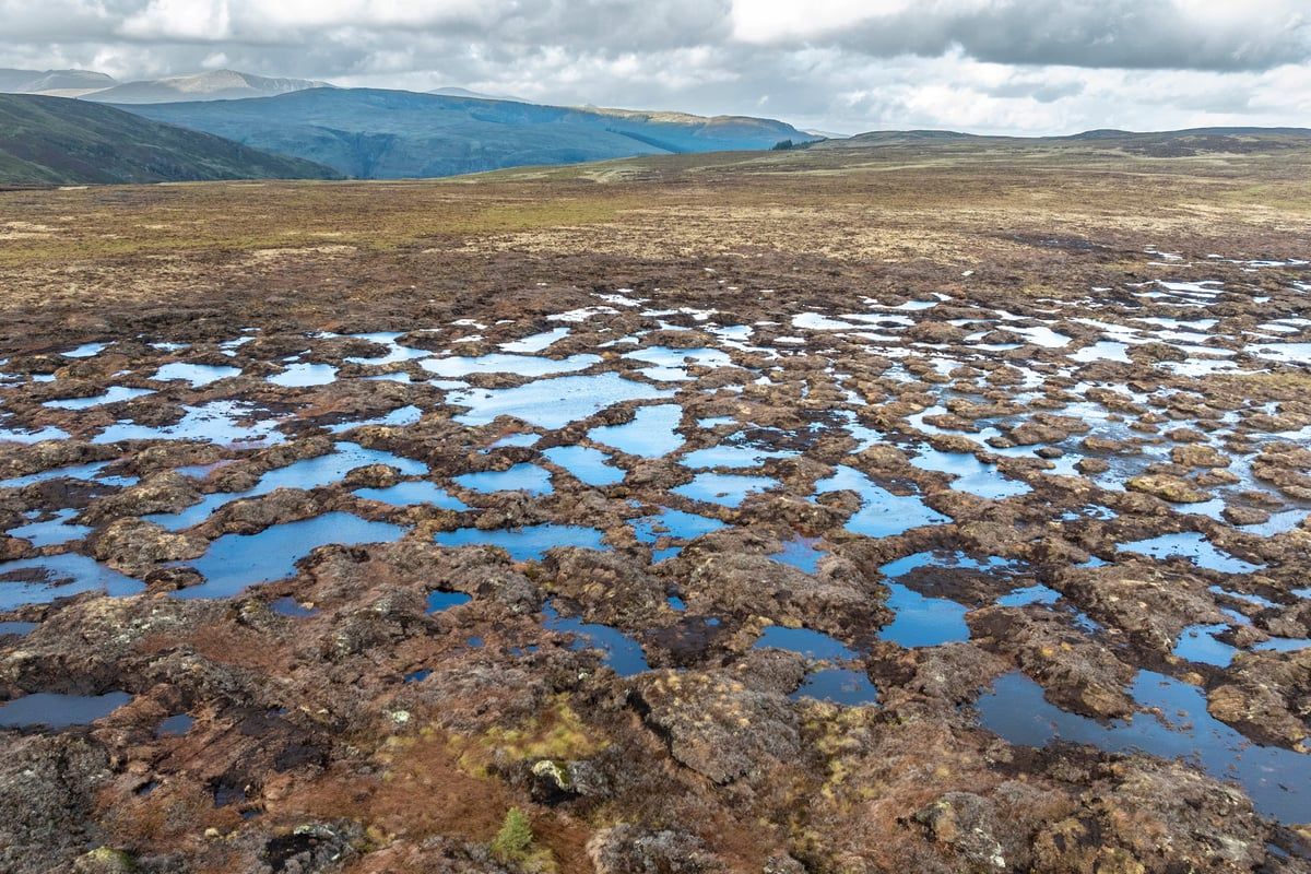 National Trust and Admiral team up to boost…