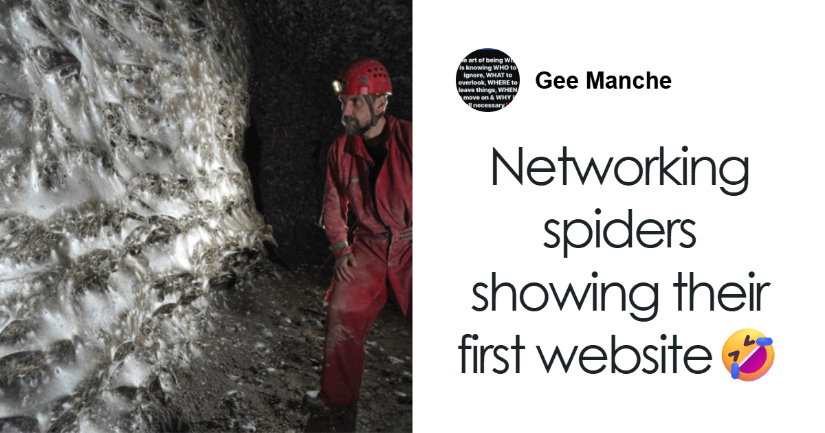 The World’s Biggest Spider Web Has Been Found, And…