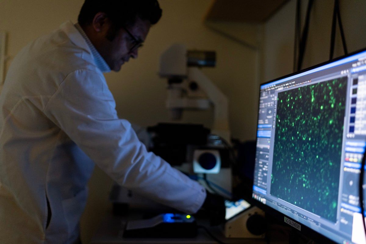 There are more than 100 autoimmune diseases, and they…