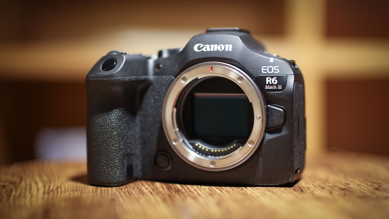 Canon EOS R6 Mark III sample photo gallery: See what…