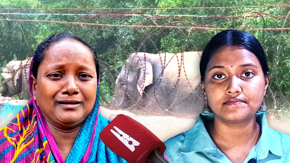 631 deaths, 4 years: Inside Odisha’s elephant conflict…