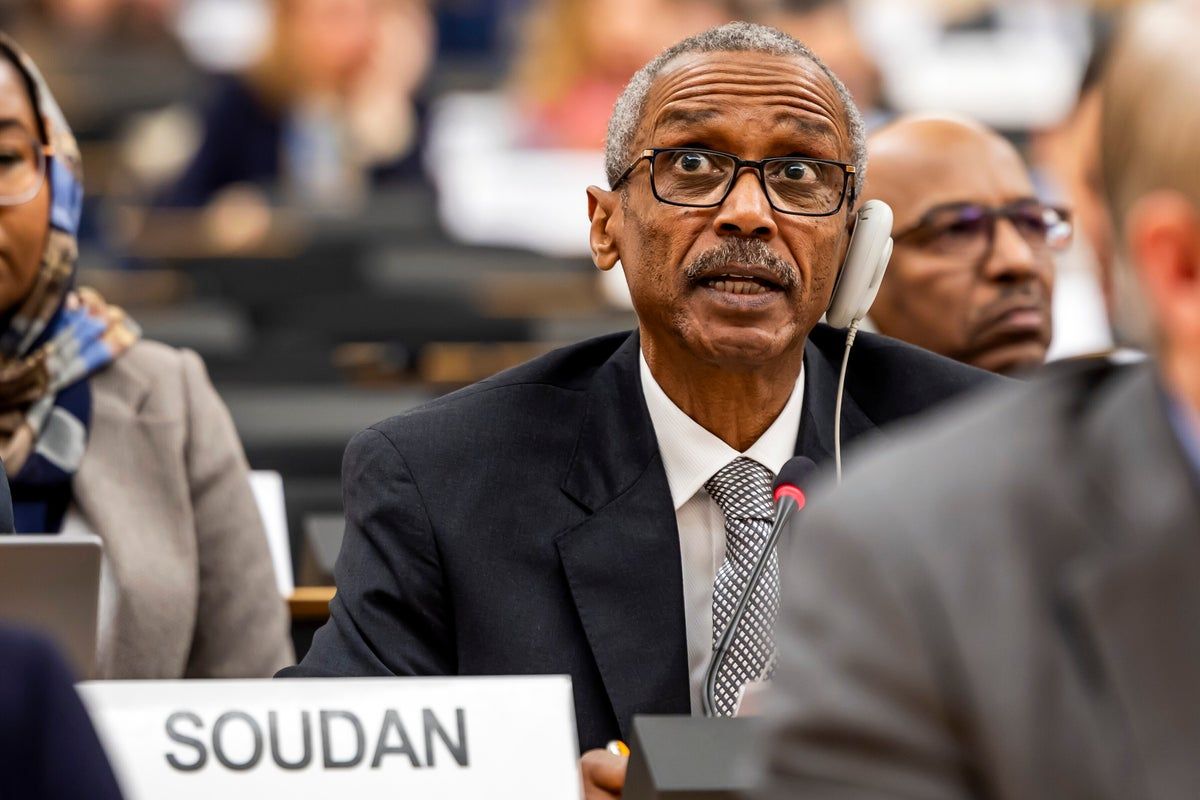 UN human rights body holds special session on Sudan…