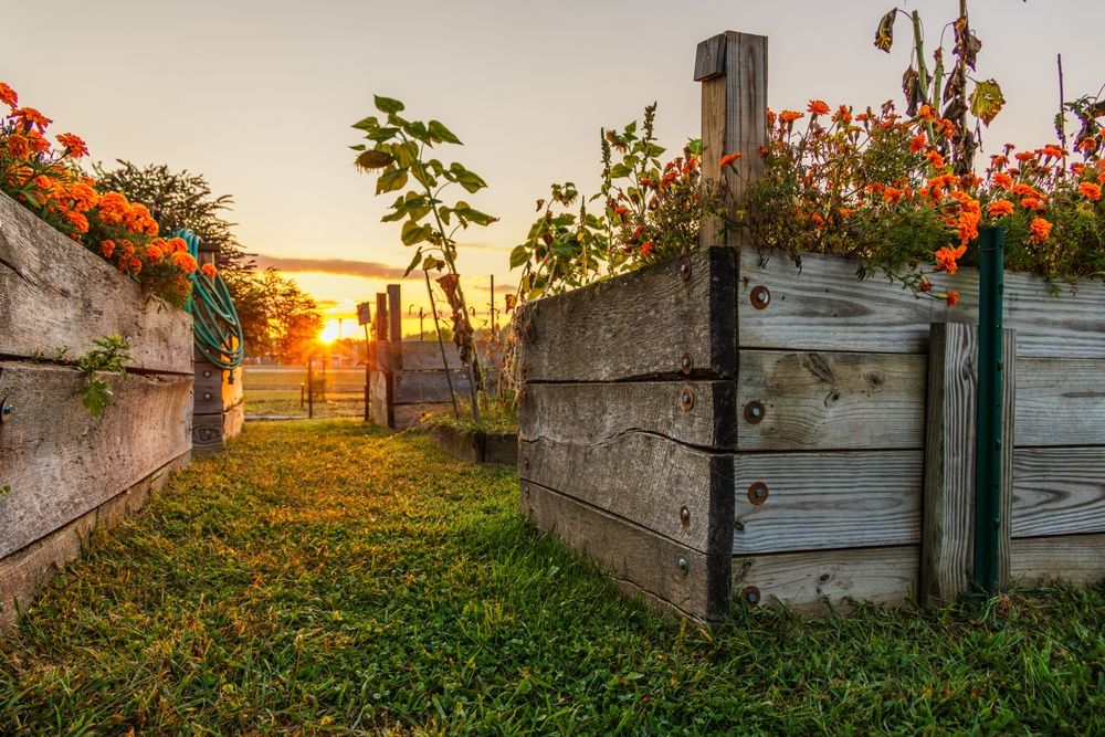 Why Garden Beds Sink After Leaf Mulching