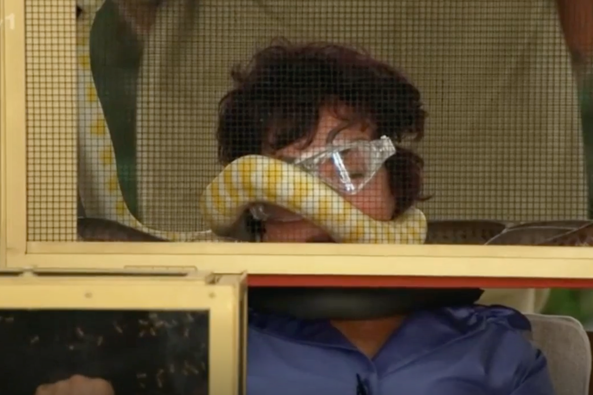 Ruby Wax struggles with snakes in first I’m a Celeb…