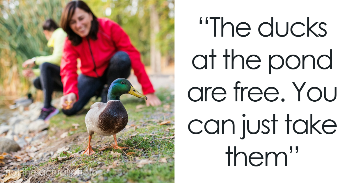 44 Comically Absurd Facts You Probably Don’t Know