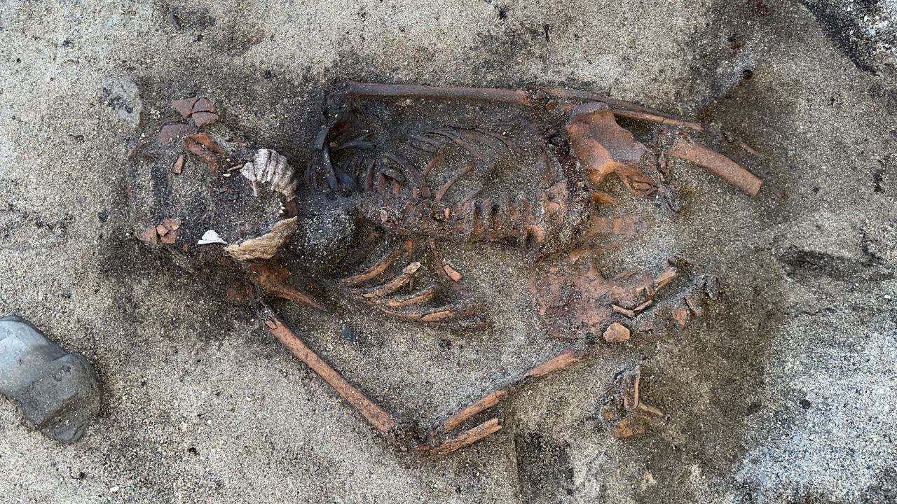 Viking Age woman found buried with scallop shells on…