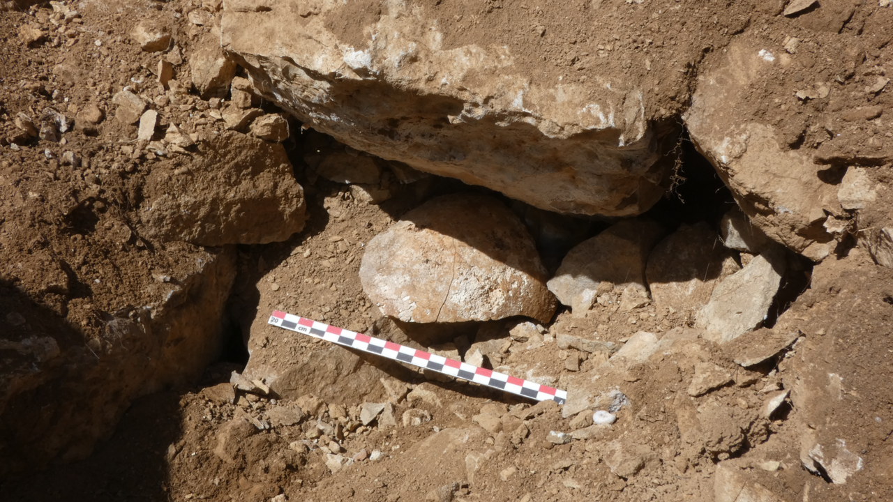 Archaeologists discover decapitated head the Romans…