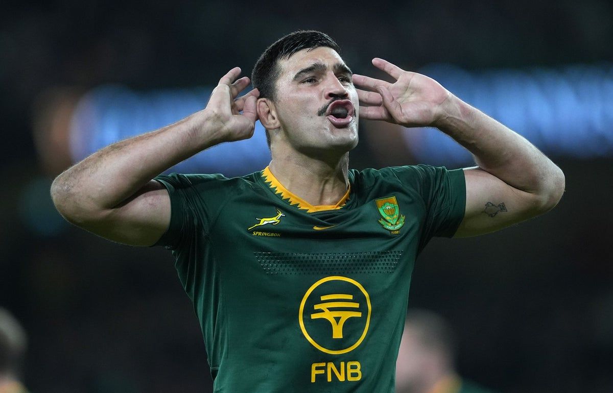 Ireland vs South Africa live: Springboks survive…