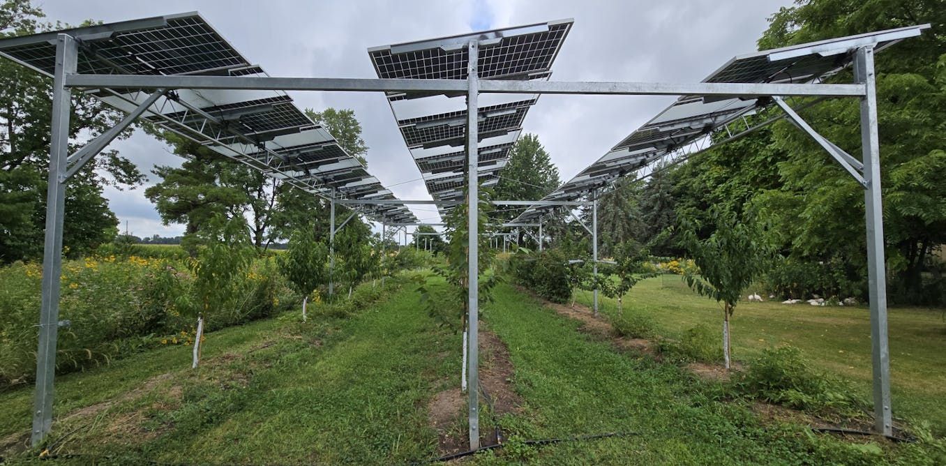 The gift that keeps on giving: How solar panels on…