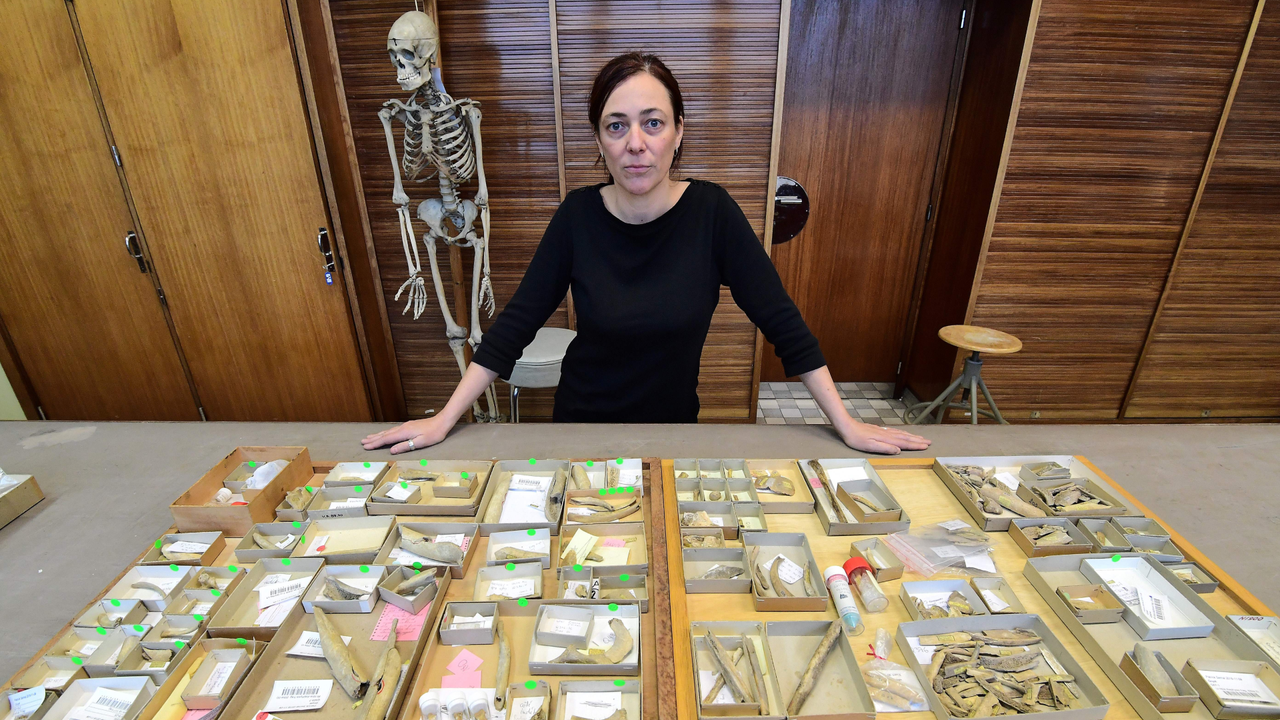 Neanderthals cannibalized 'outsider' women and…