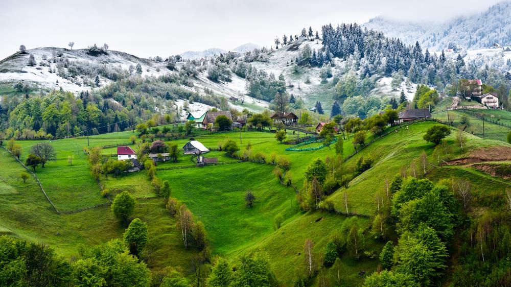 ‘We like it a lot’: how Romania created the largest…