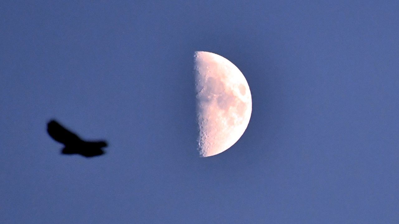 See a half-lit moon shine among the stars of Aquarius…
