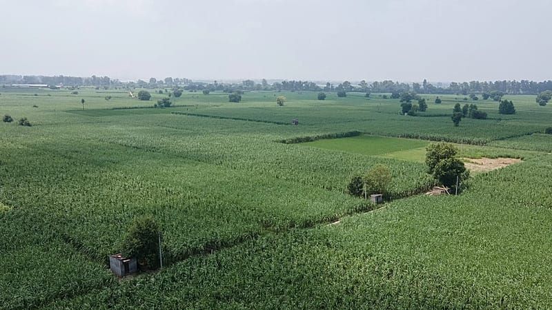 EU seeks to exploit nature-based products for…