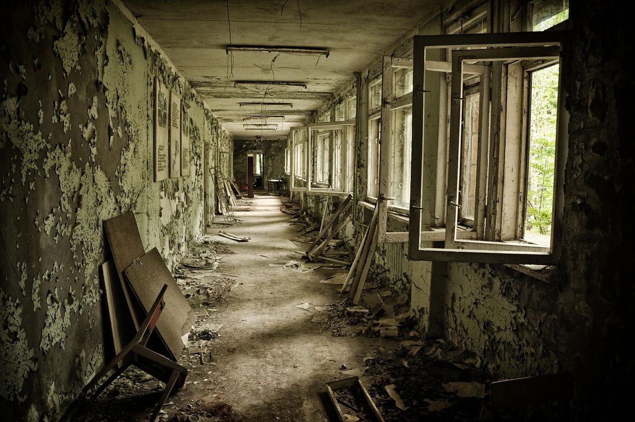 Chernobyl Fungus Feeding on Gamma Radiation Emerges as…
