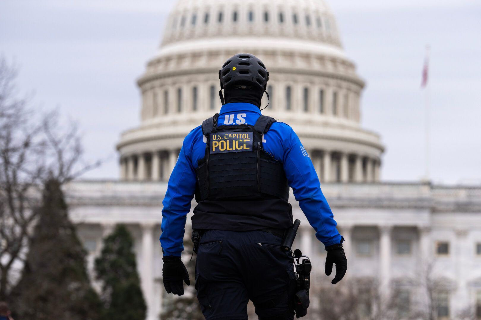 December brings reelection reflection — and safety…