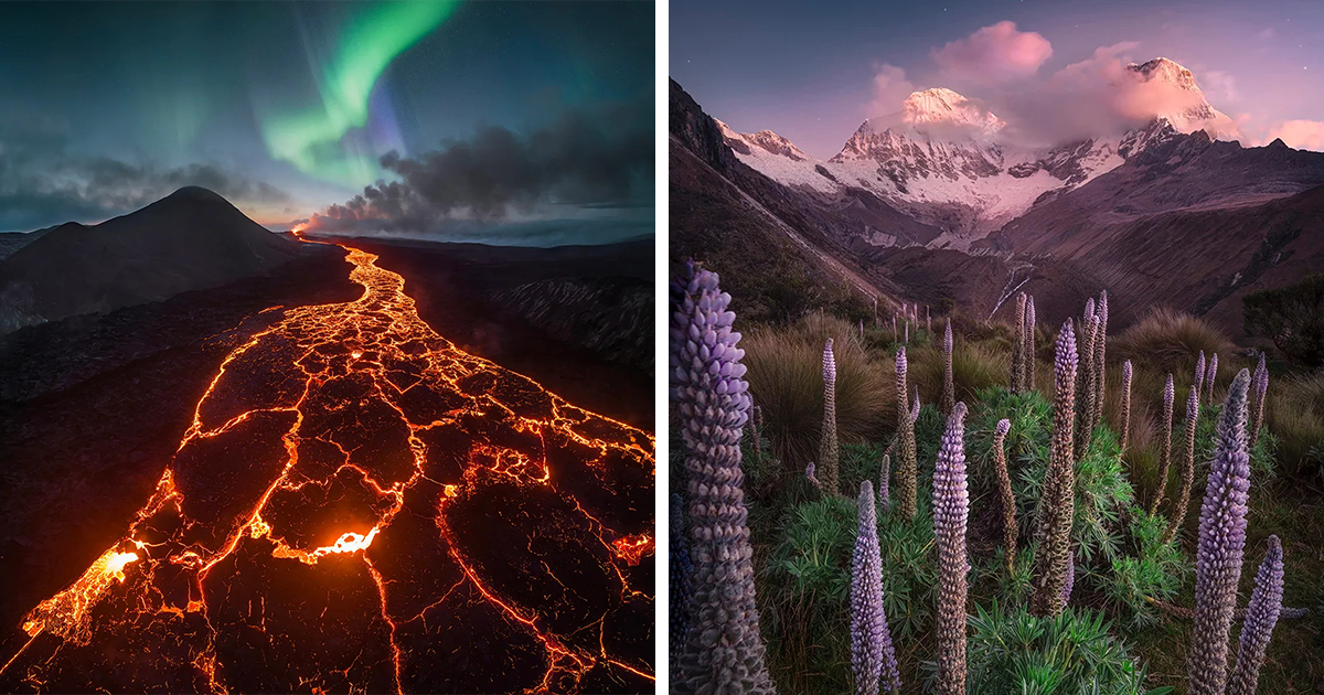 The Best Of Landscape Photography: 25 Award-Winning…