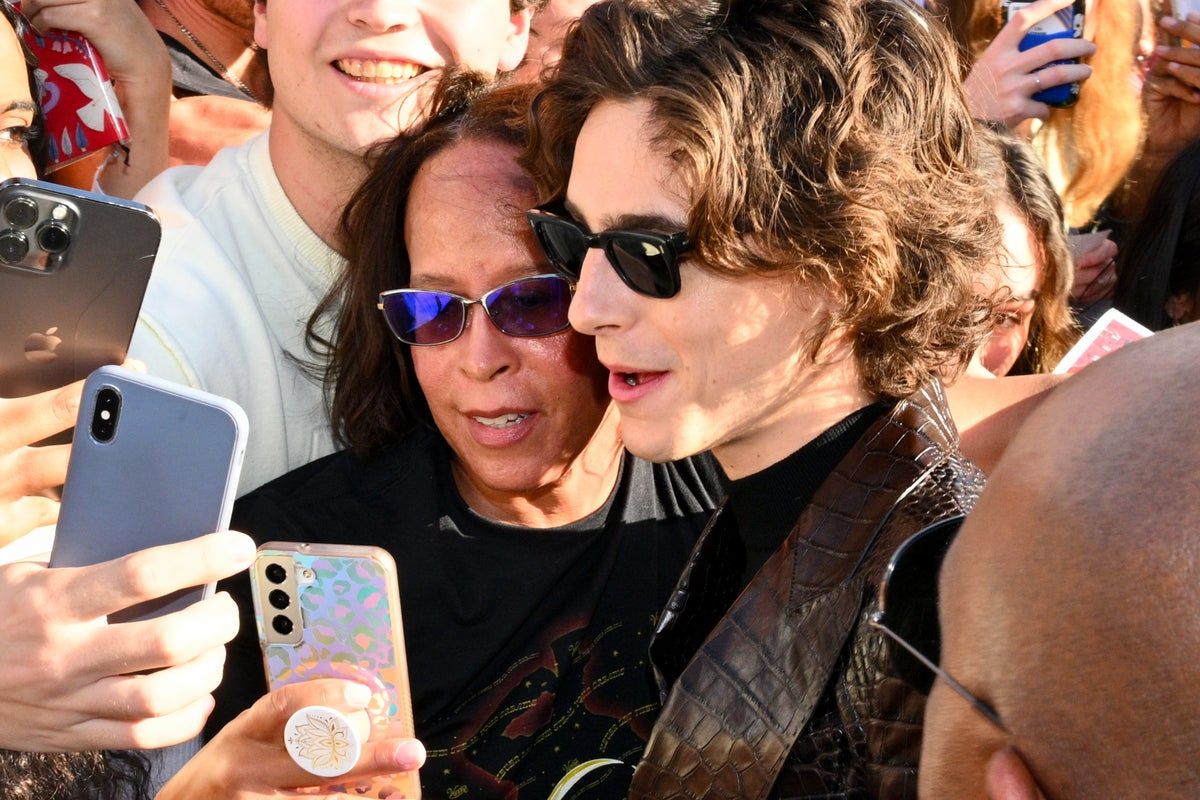 A viral Timothée Chalamet superfan turned out to be…
