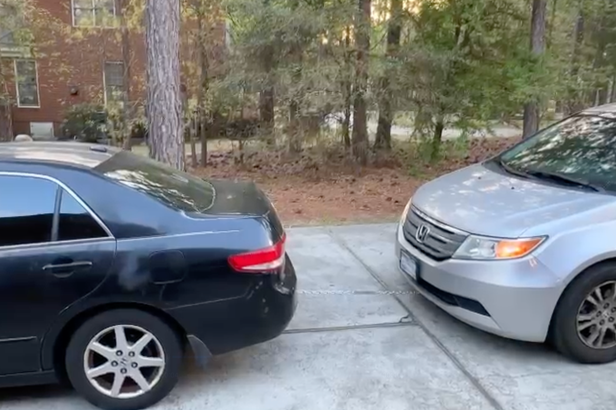 Scientists turn common kitchen waste into glue strong…