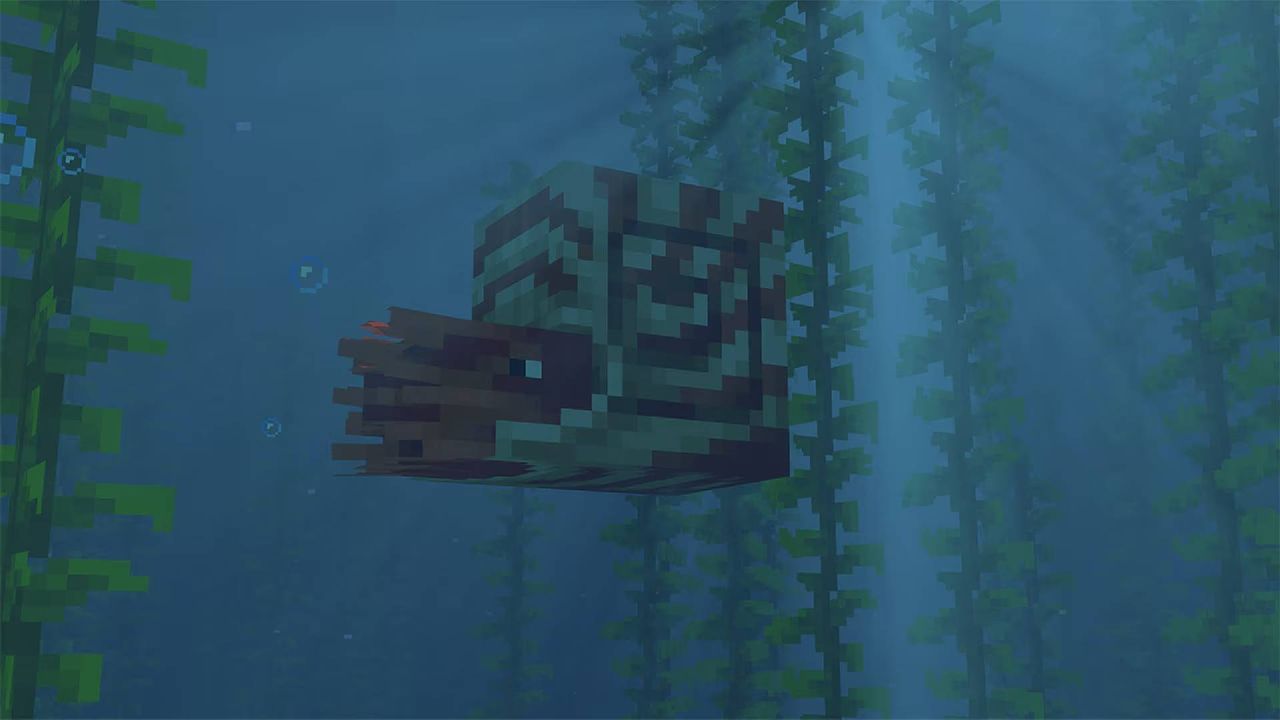 How to find and tame a Nautilus in Minecraft